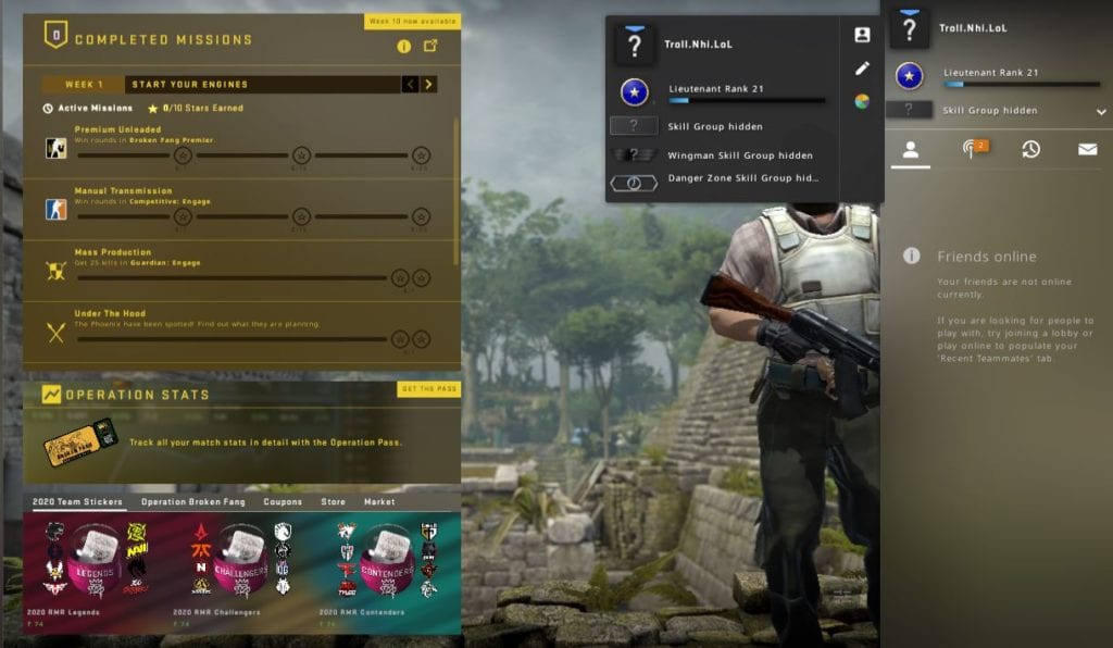 CSGO Ranks: Everything You Need To Know About - Digital Gamers Dream