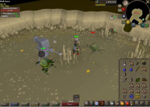 OSRS Agility Guide - Digital Gamers Dream